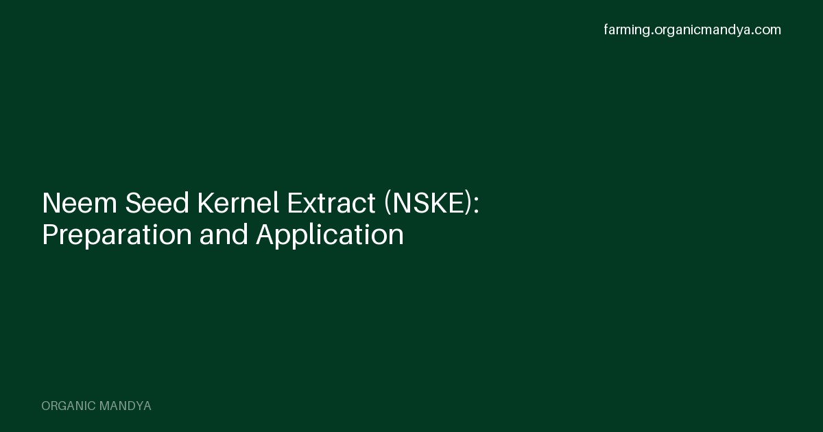 Neem Seed Kernel Extract (NSKE): Preparation and Application | Organic ...